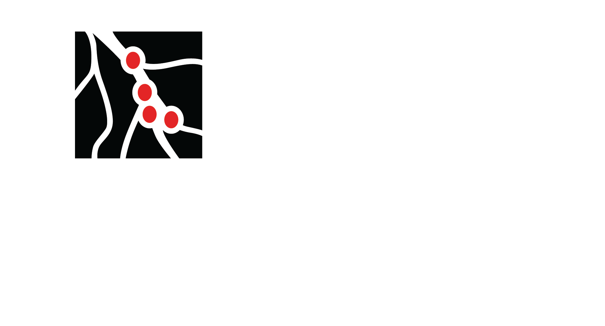 Agrauxine | Americas Best Inoculant® for Pea and Lentil