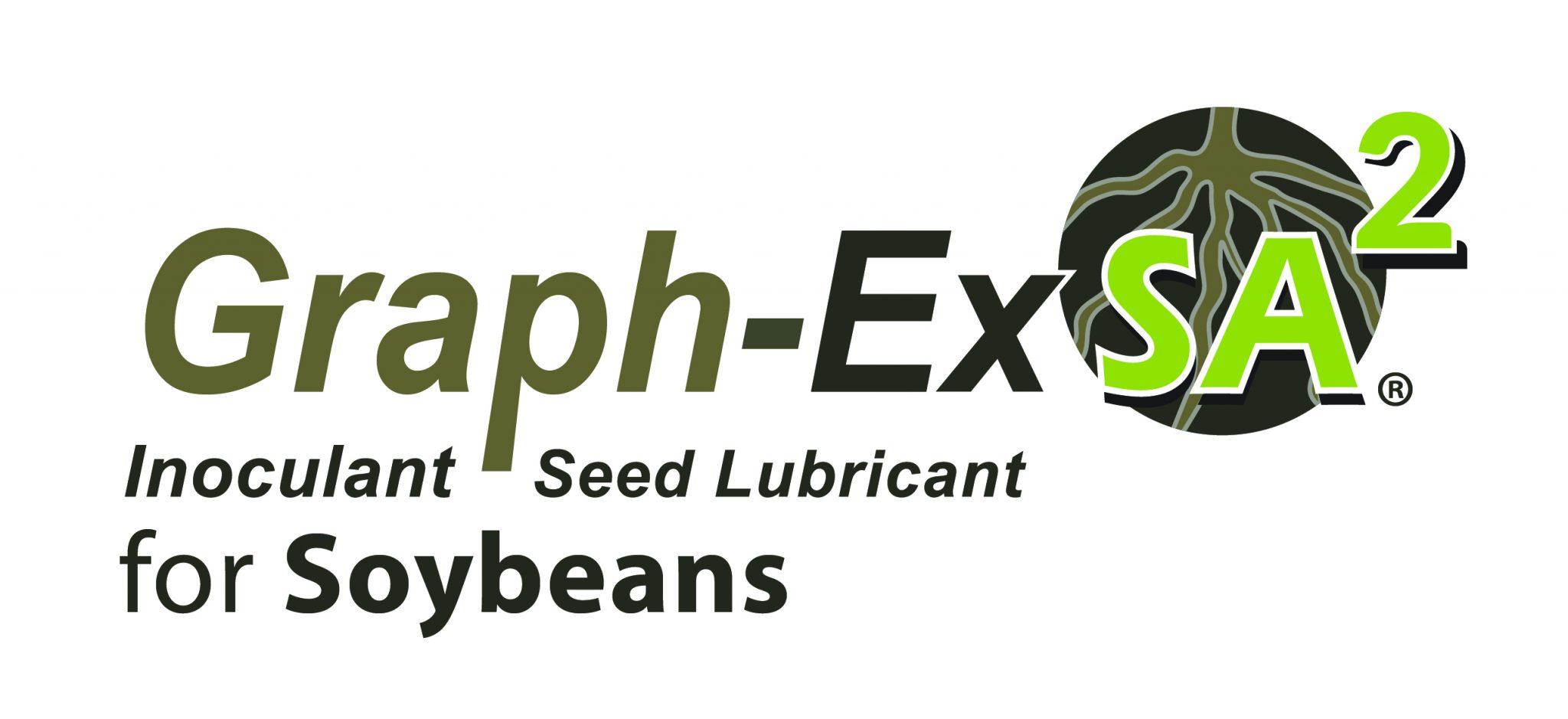 Soybeans - Agrauxine